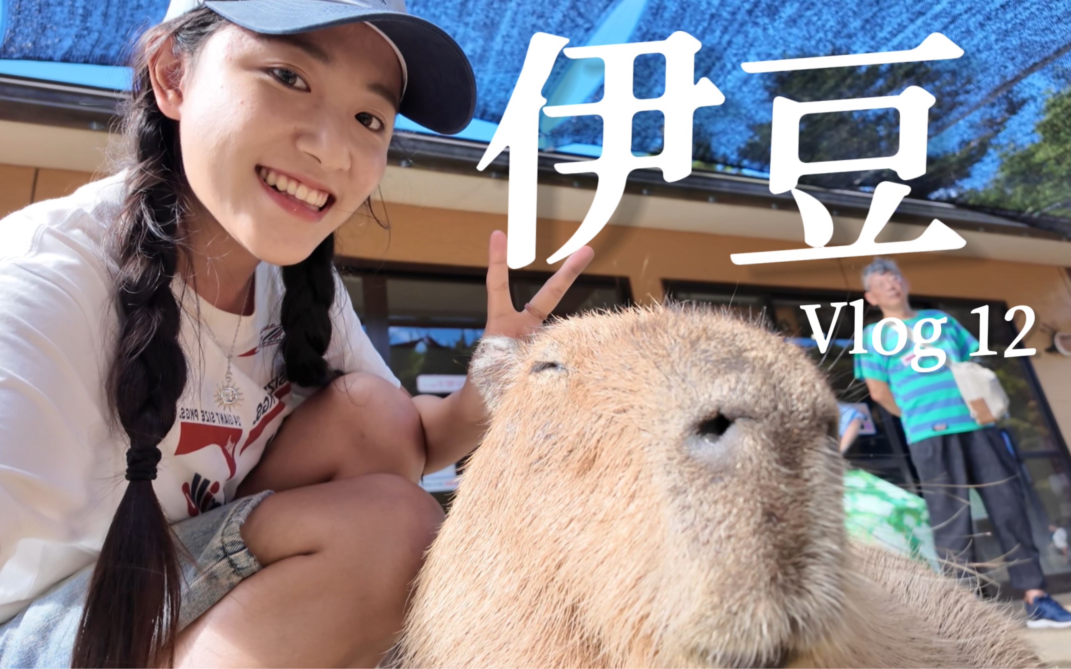 VLOG12 日本仙人掌动物园的水豚也太有趣啦！-章阿鱼o-章阿鱼o-哔哩哔哩视频