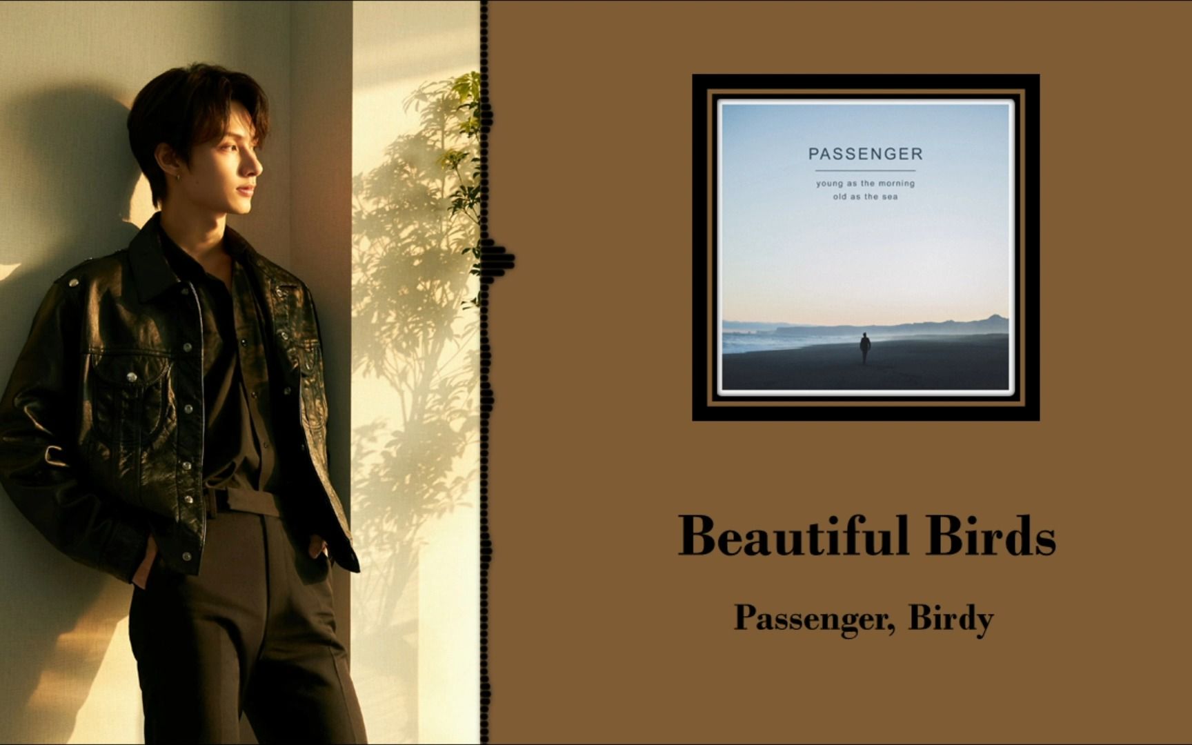 视频去哪了？ Bili52431593568 Songs 哔哩哔哩视频