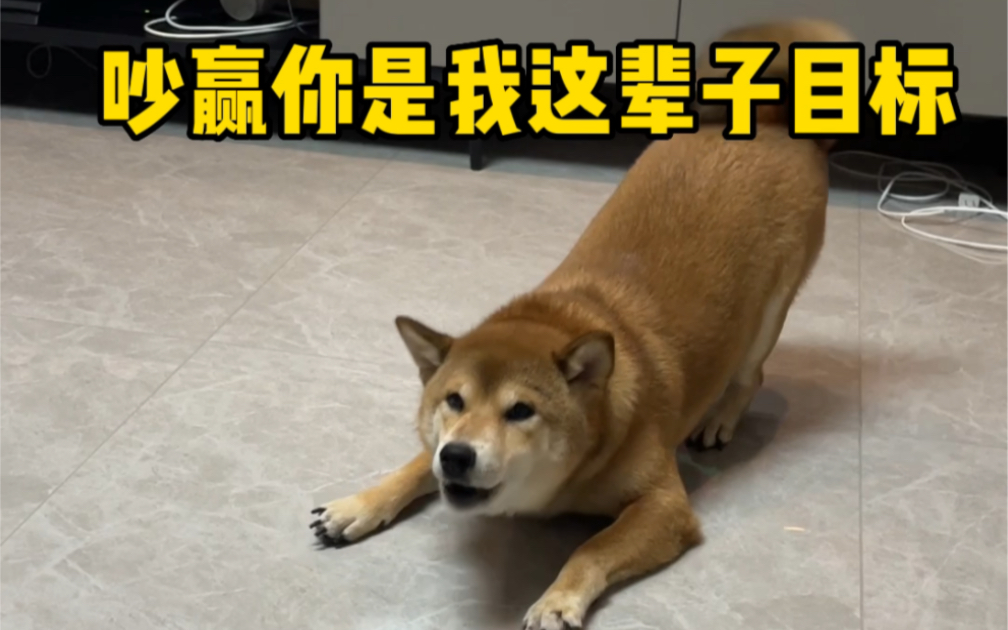 妈妈的好大儿(小脑猥琐) 你的陈比方本方 你的陈比方本方 哔哩哔哩视频