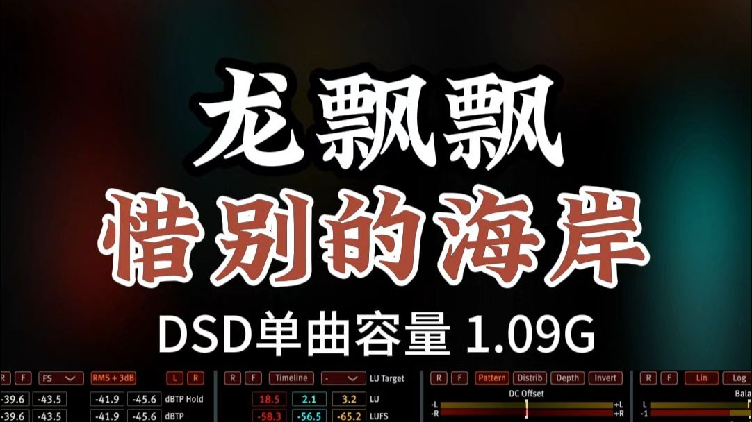 经典老歌，原人原唱，龙飘飘《惜别的海岸》DSD完整版1.09G，百万调音师专业录音棚制作，顶级hifi音乐-车音乐_百万调音师-车音乐_百万调音师-哔哩哔哩视频