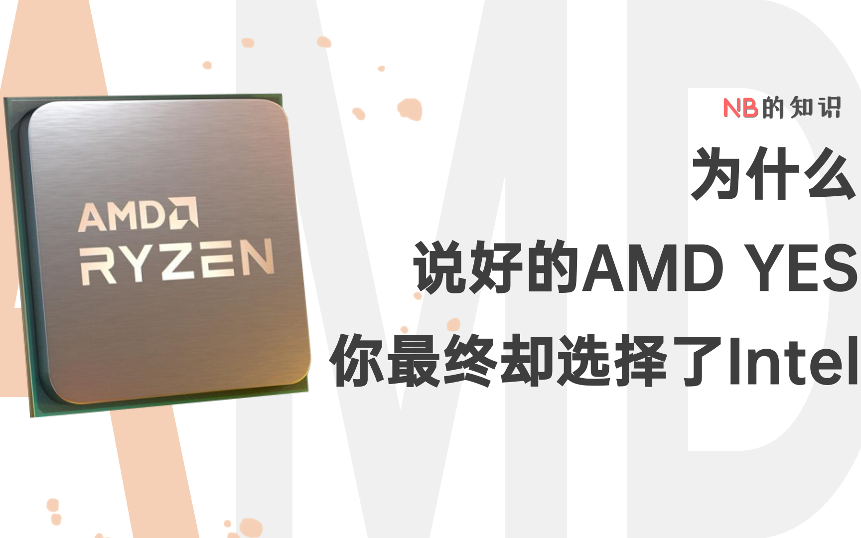 为什么说好的AMD YES，你最终确却选择了Intel？_哔哩哔哩_bilibili