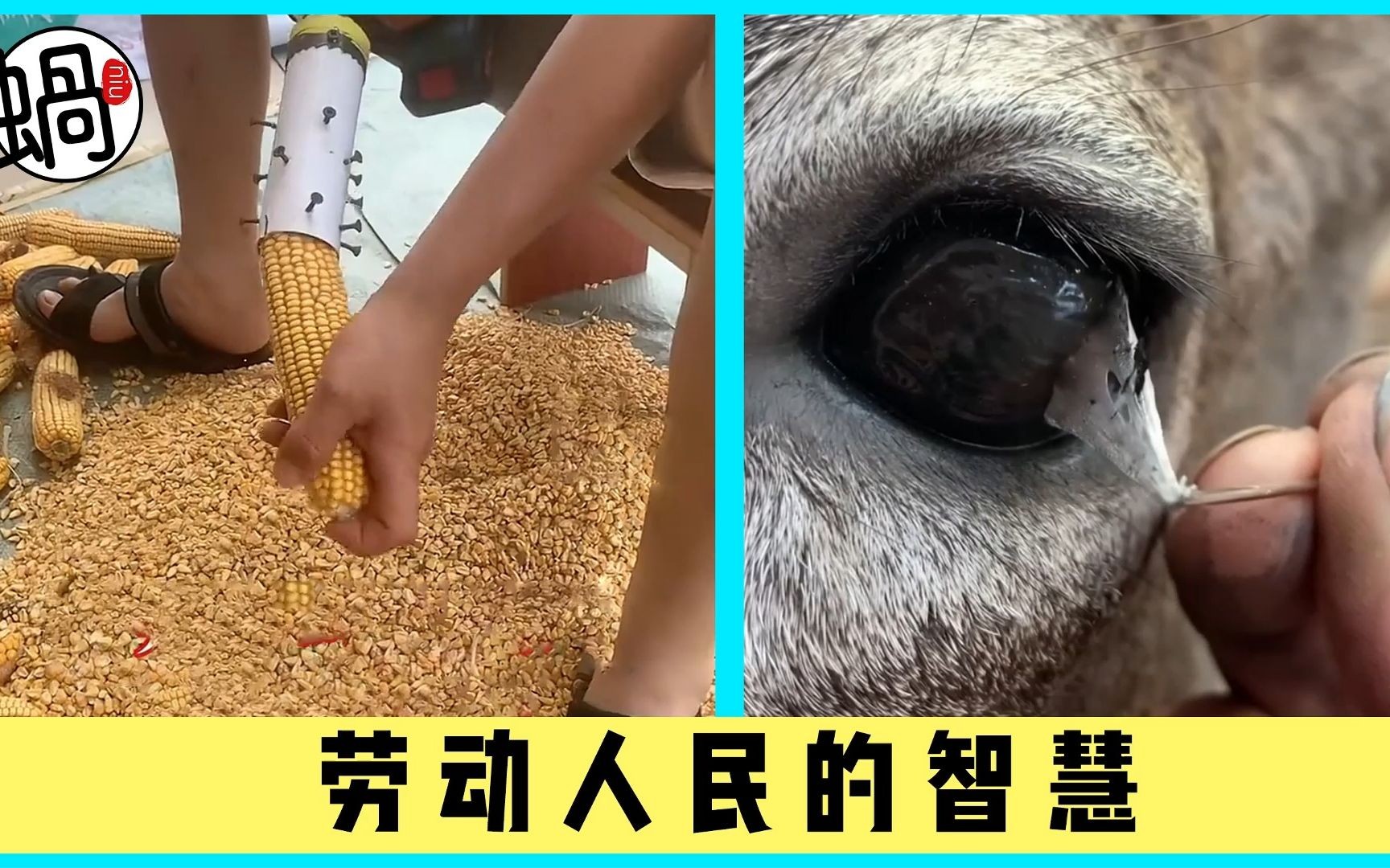 劳动人民的智慧，聪明的方法和工具 蝸牛设计 蝸牛设计 哔哩哔哩视频