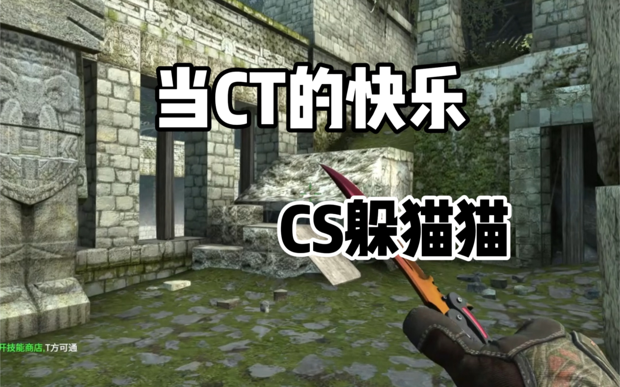 CSGO躲猫猫：这就是当CT的快乐-禹辰OvO-禹辰OvO-哔哩哔哩视频