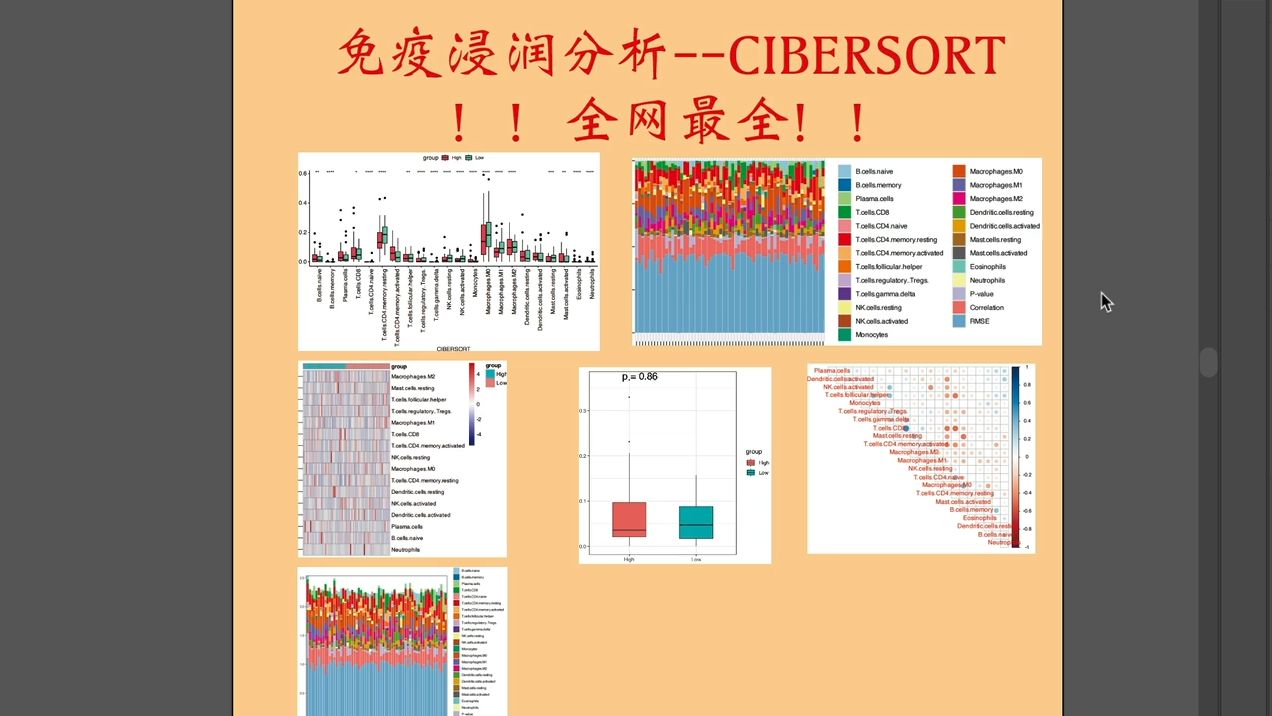 【想学必看】免疫细胞浸润分析--Cibersort代码及示例数据-免费的午餐啊-免费的午餐啊-哔哩哔哩视频