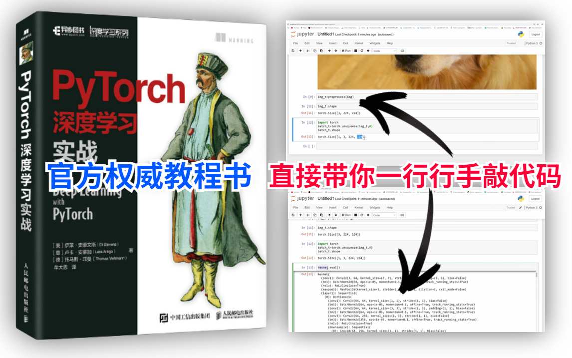 【大神带你一起啃书】学习PyTorch的首选教程书，一行行手敲代码带你进行深度学习实战！-人工智能/机器学习/神经网络-AI算法工程师 ...