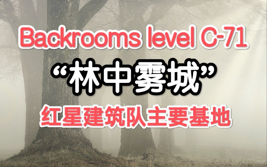 【Backrooms】后室 Level C-71 “林中雾城”红星建筑队的主要基地-季夏廿玖-季夏廿玖-哔哩哔哩视频