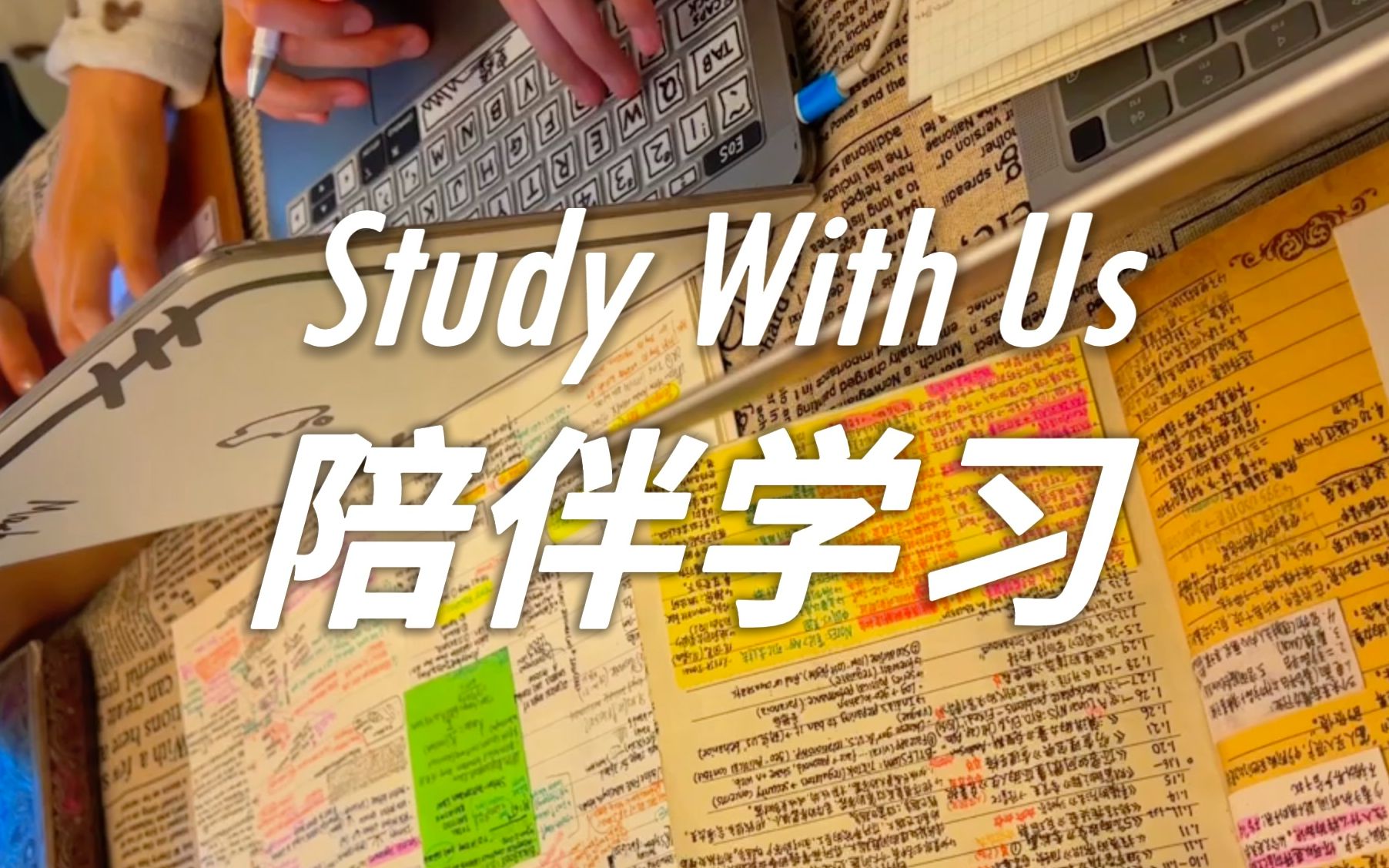 Study With Twins 91 91 Study With Twins 91 91