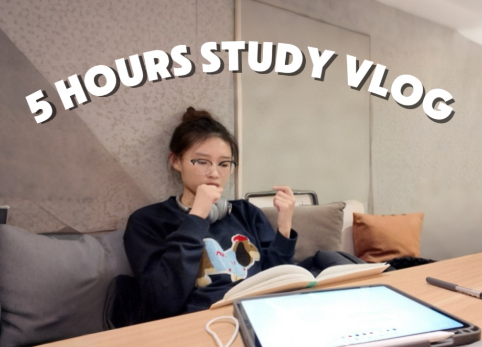 study vlog|学习5h+*慢慢恢复状态 找回动力-栗子多加辣-栗子多加辣-哔哩哔哩视频