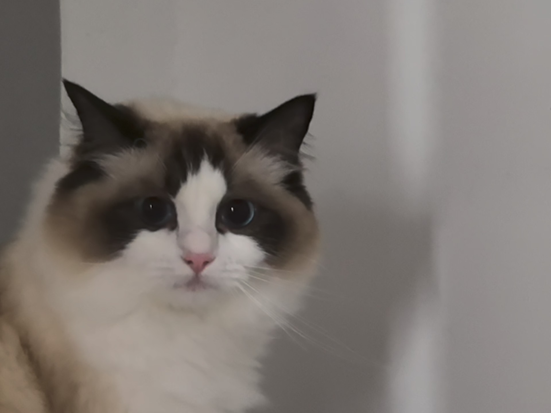 甜蜜的痛苦【AI酒神】【AI傀影】-唐稷闻QAQ-默认收藏夹-哔哩哔哩视频