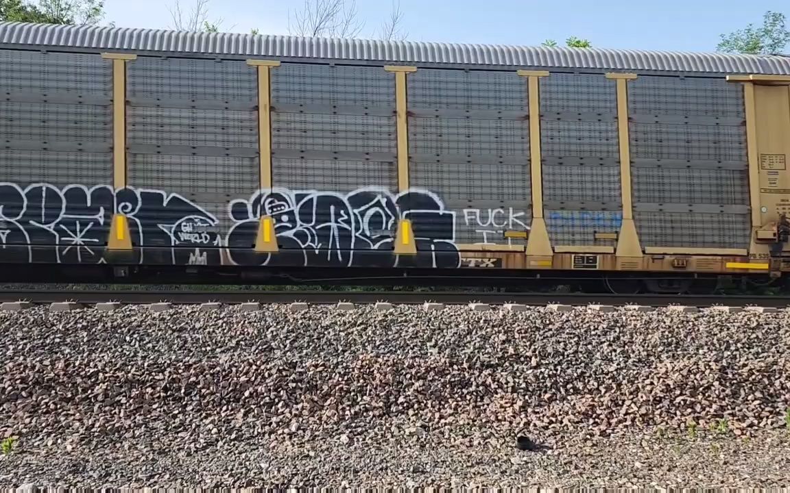 TRAIN MEETS GALORE! Meet action featuring UP, BNSF, NS 8102, Bonnet, 🌧, horn sa_哔哩哔哩_bilibili