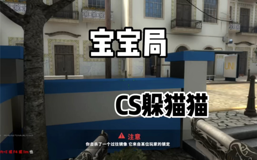 CSGO躲猫猫：宝宝局-禹辰OvO-禹辰OvO-哔哩哔哩视频