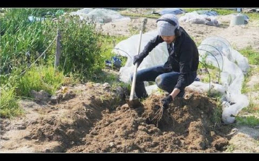 【JunsKitchen】厨子种菜篇：夏季菜园准备-JunsKitchen-JunsKitchen-哔哩哔哩视频