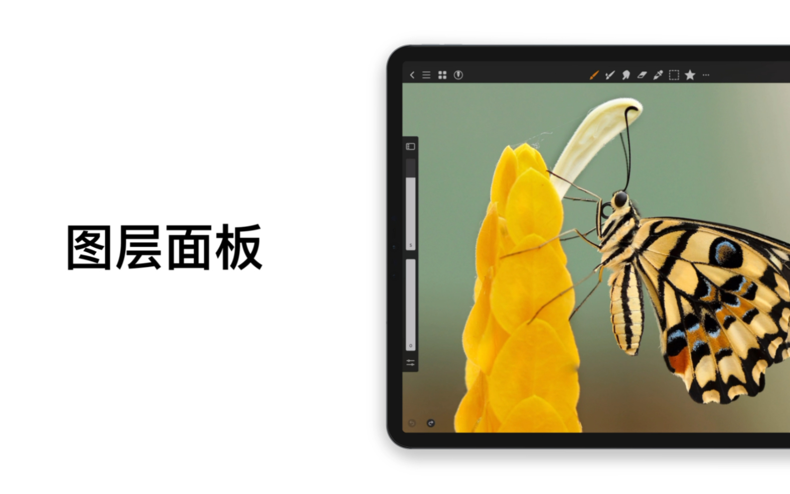 【Artstudio Pro官方教程】026图层面板-Artstudio官方账号-Artstudio官方账号-哔哩哔哩视频