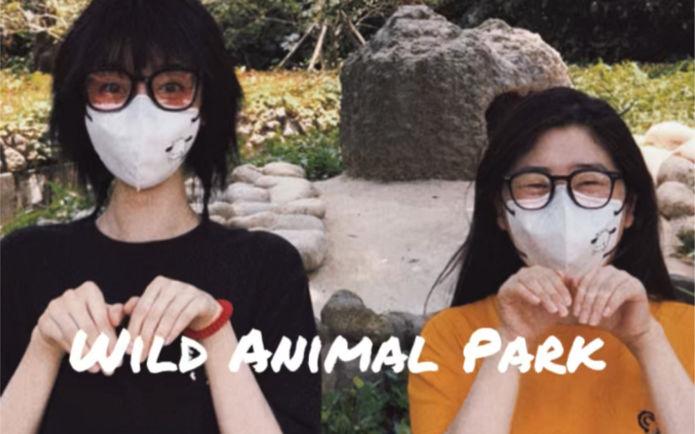 Wild Animal Park / 耶嘿！-一团眠花er-一团眠花er-哔哩哔哩视频