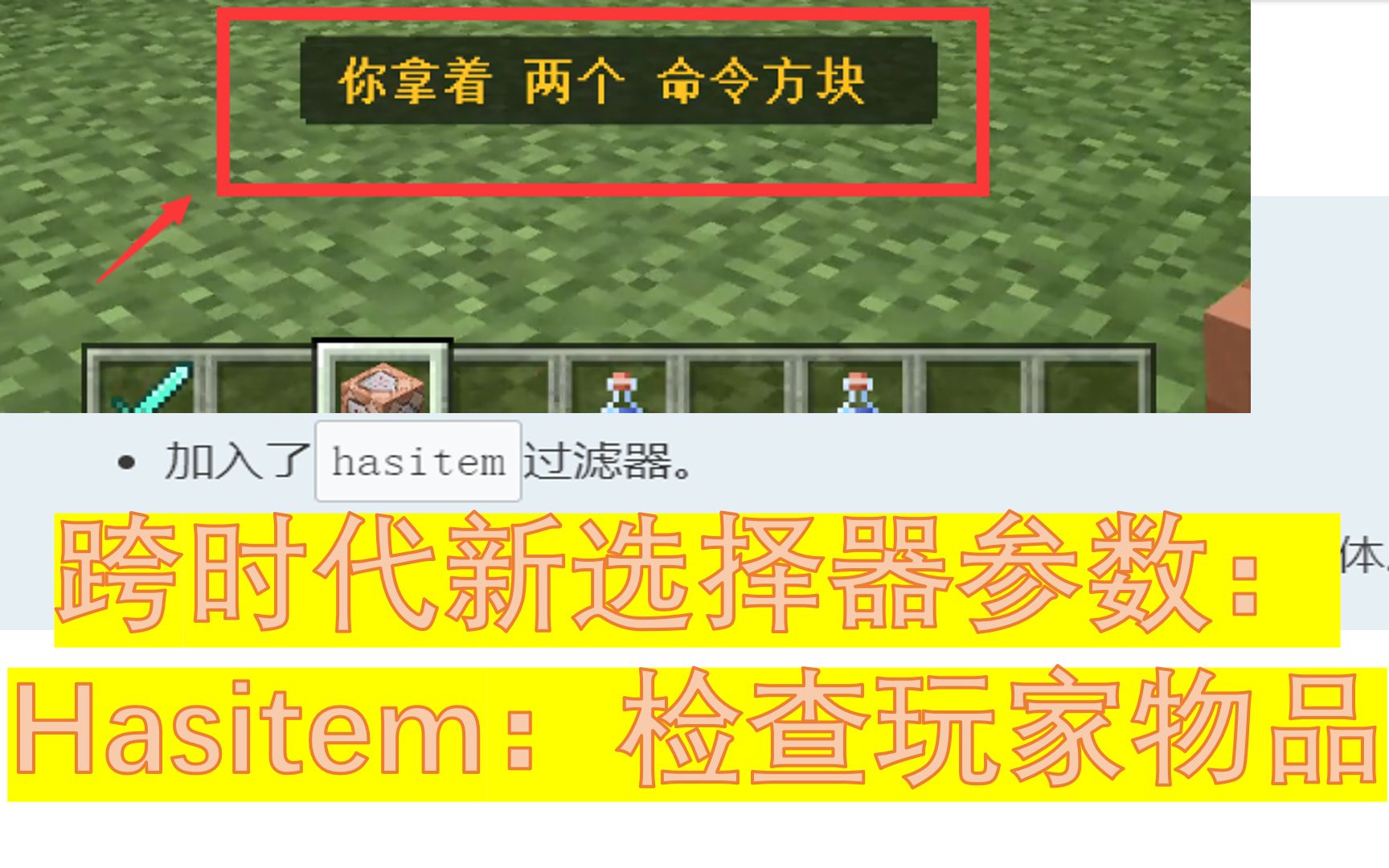 《1.18新指令》hasitem选择器，检测实体的背包！检测手持的救星！【我的世界命令方块指令】【早晨解说】_单机游戏热门视频