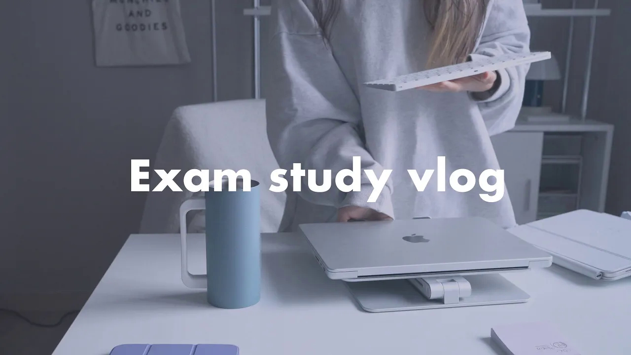 STUDY VLOG｜南韩发疯姐UDAN｜中文cc字幕｜公试生·周一周二周三周四周五.zip·麻辣烫🍜·偶像学习记·学习咖啡厅·书店·气化笔-xi不苦不苦不酷-Vlog-哔哩哔哩视频