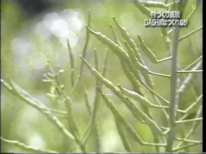 TOKIO dash 2001 12-小さisis-小さisis-哔哩哔哩视频