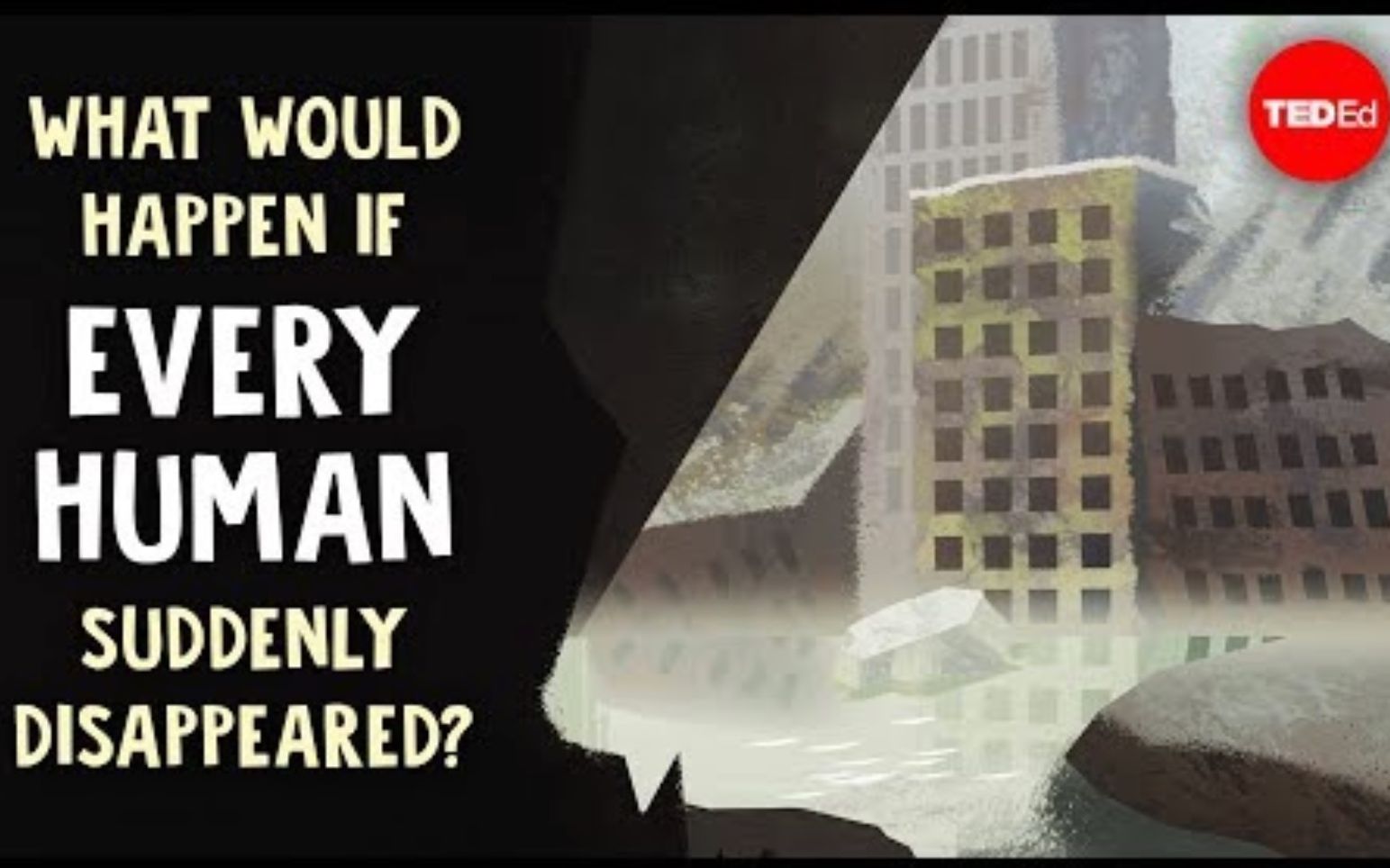 Ted Ed-Human vs Virus人与病毒