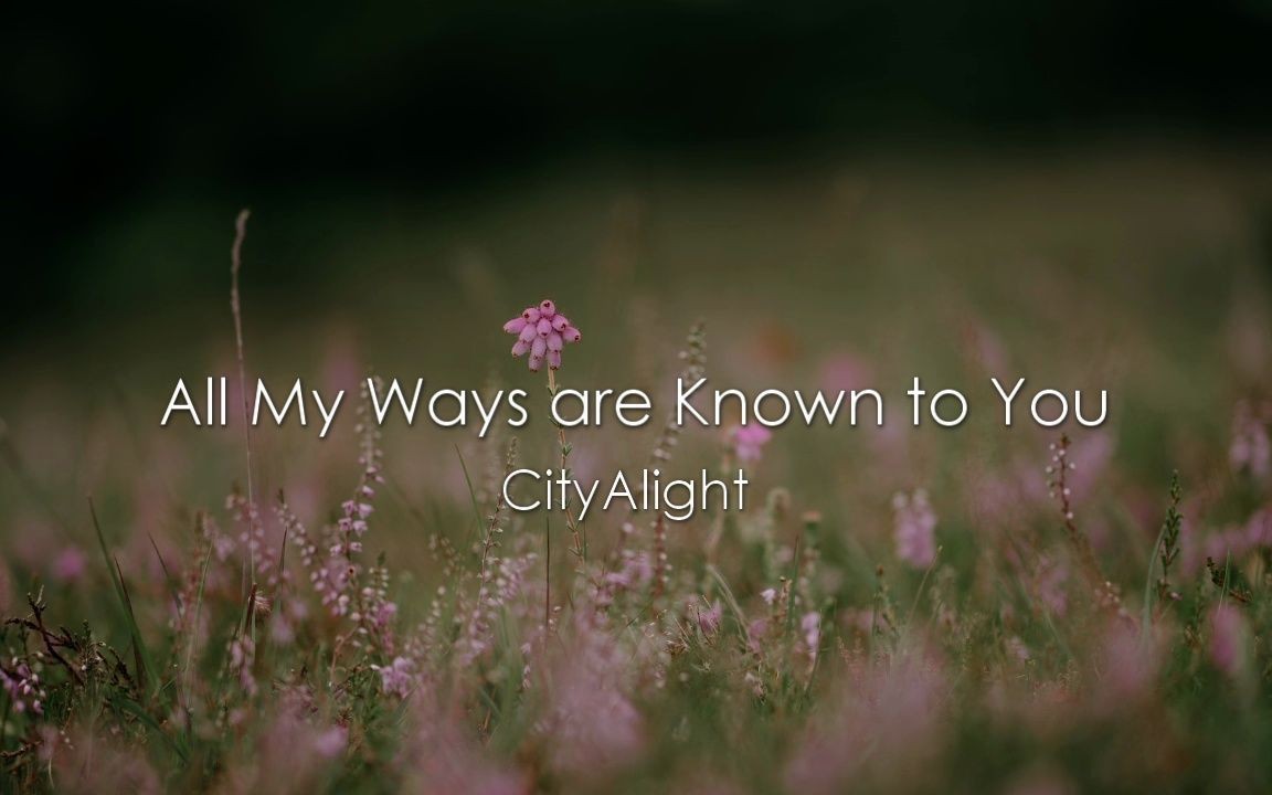 祢深知我一切所行 All My Ways are Known to You - CityAlight-彩虹记号-彩虹记号-哔哩哔哩视频