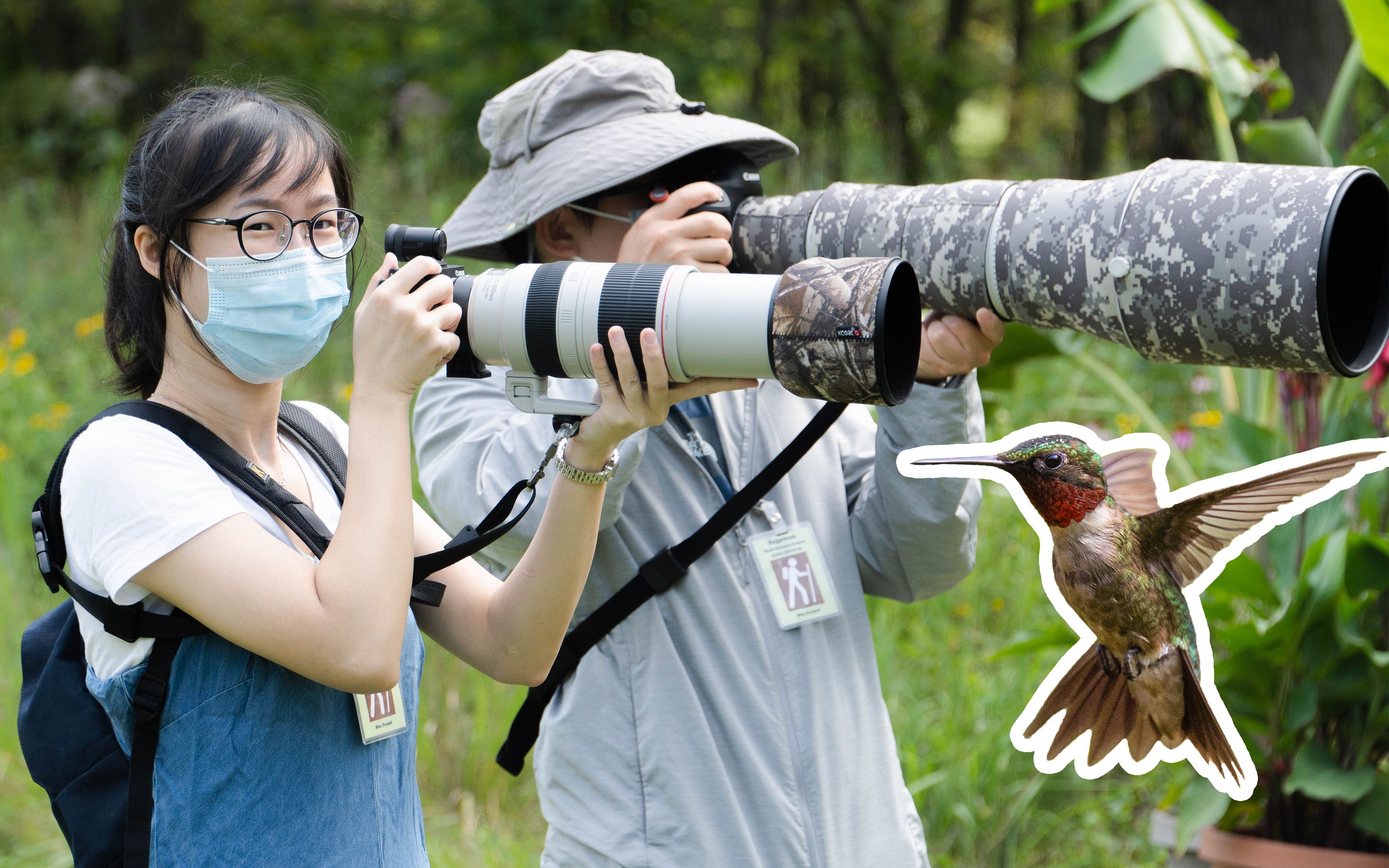 小姐姐跟老法师打鸟 佳能1DX3+600mmf4 佳能M6 Mark2+100-400mm_哔哩哔哩 (゜-゜)つロ 干杯~-bilibili