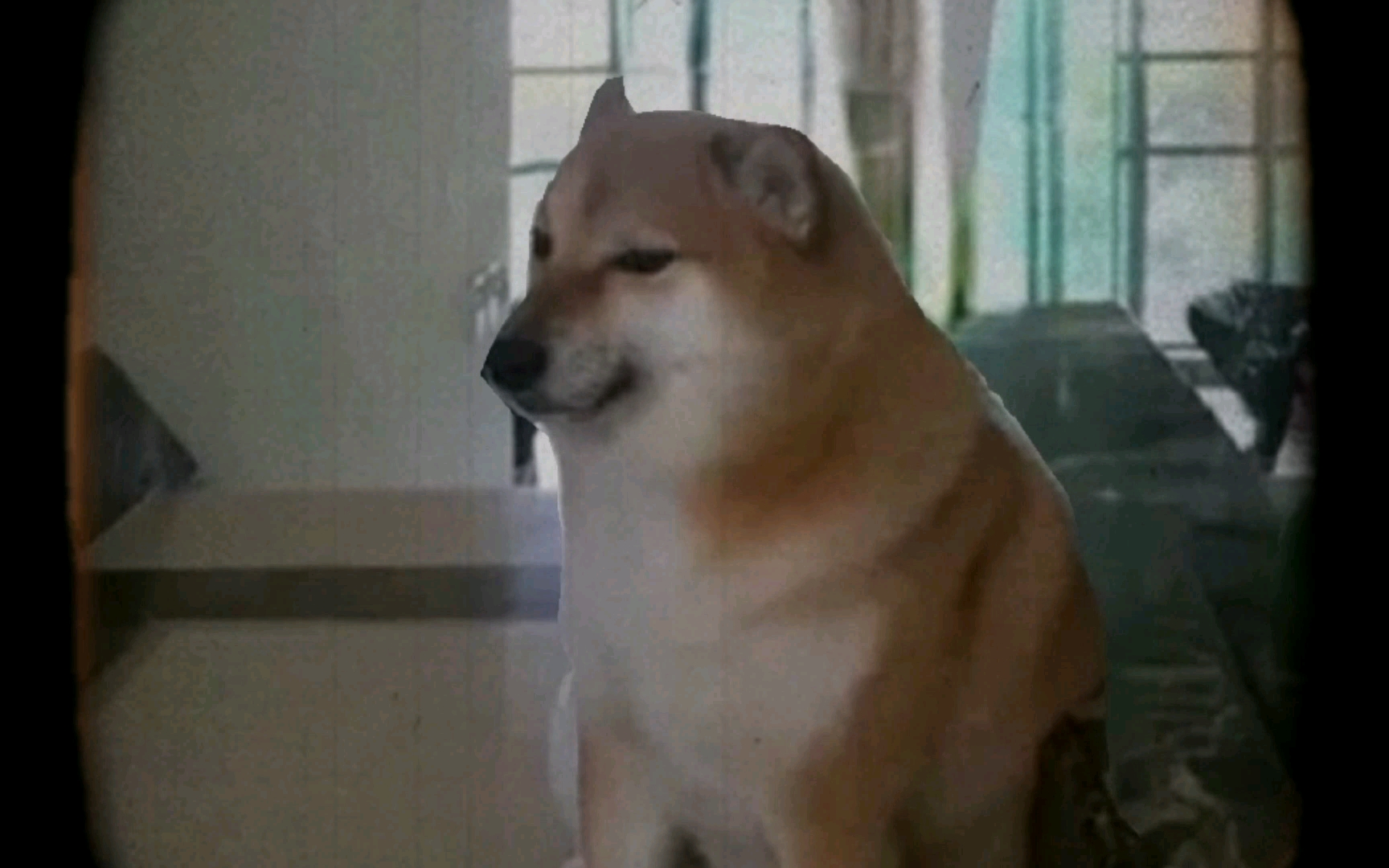 doge and chemms 修勾界天花板~_哔哩哔哩_bilibili