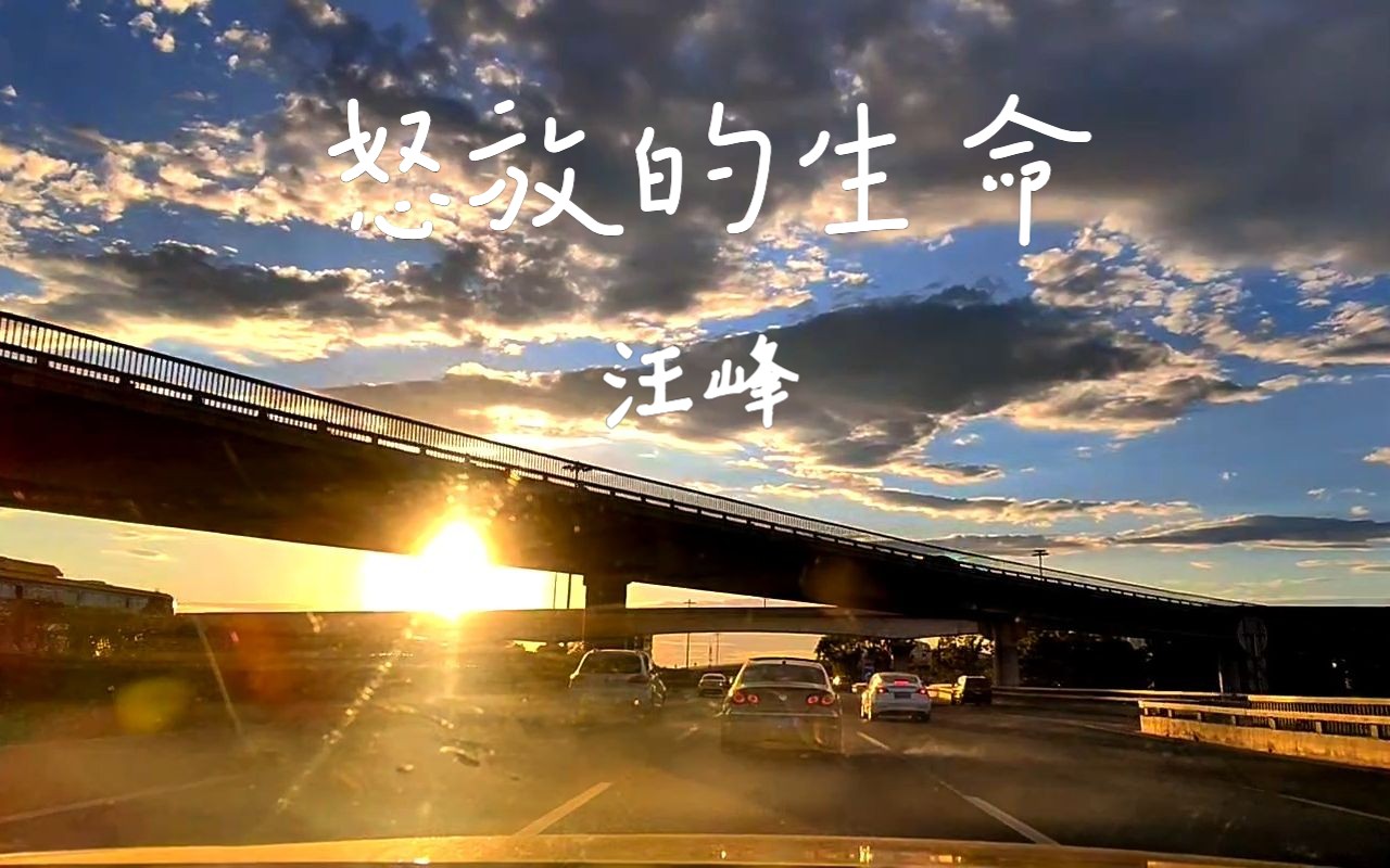 汪峰《怒放的生命》沃尔沃-S90宝华B&W - 后座模式-沃尔沃S90宝华音乐台-沃尔沃S90宝华音乐台-哔哩哔哩视频