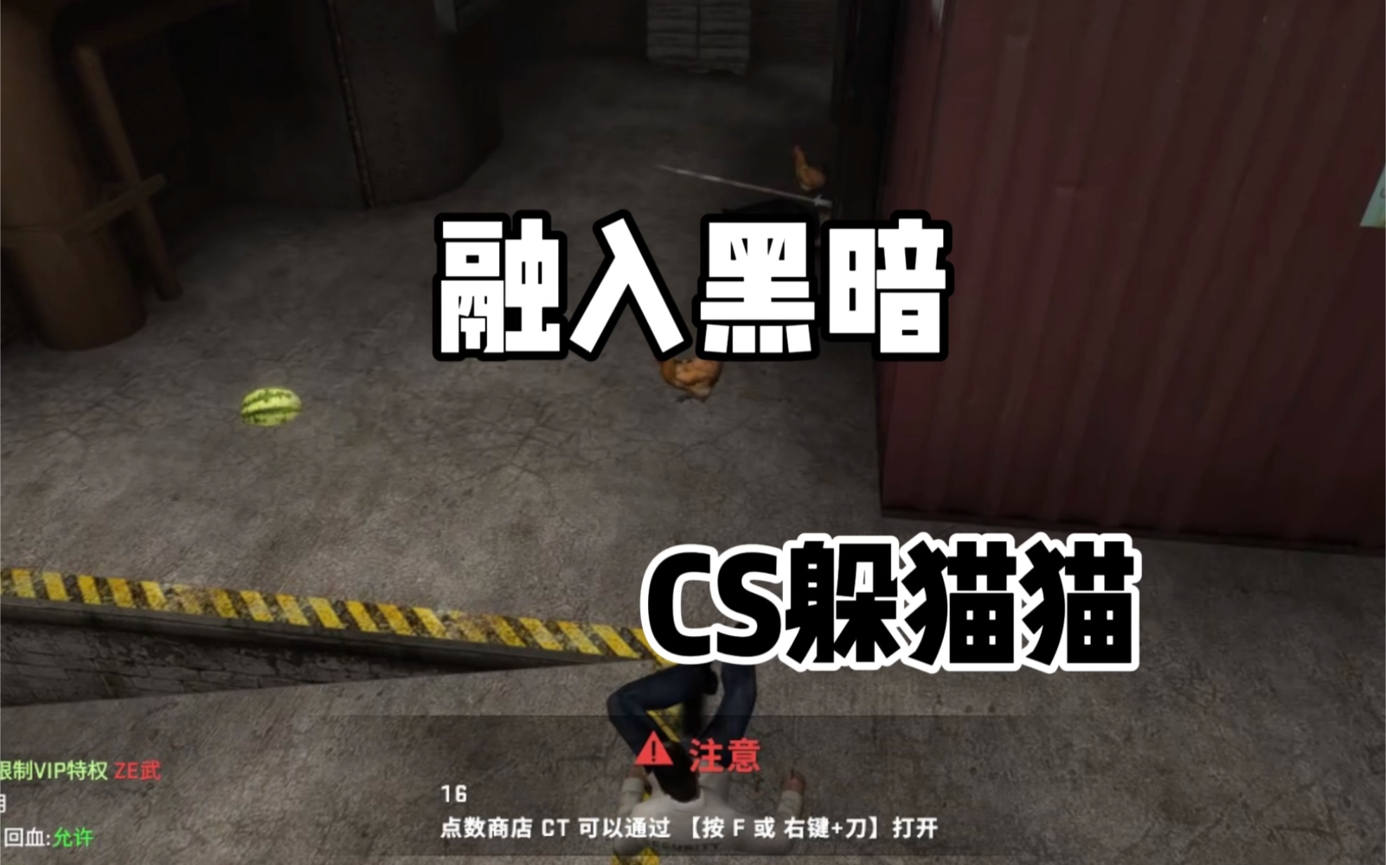 CSGO躲猫猫：融入黑暗-禹辰OvO-禹辰OvO-哔哩哔哩视频