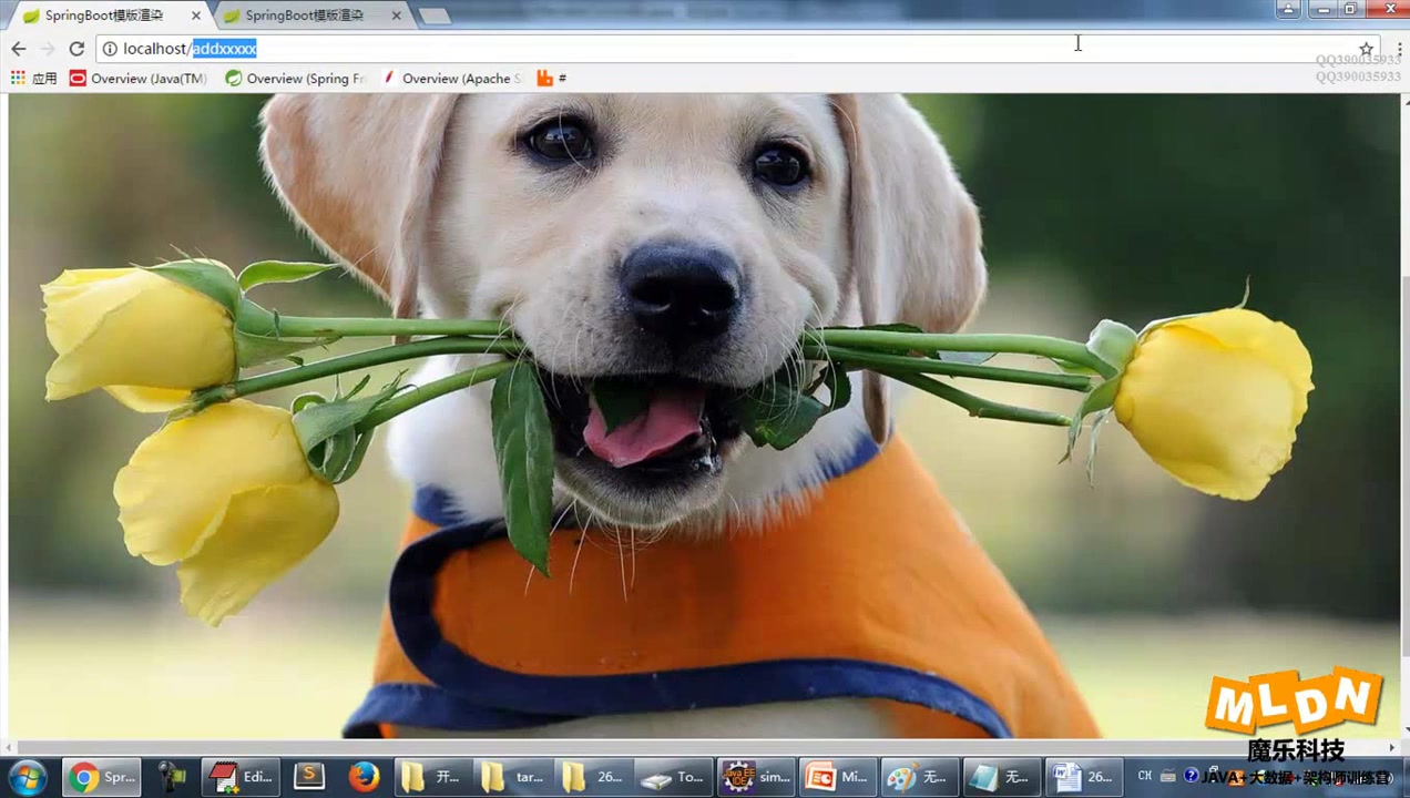 spring Boot 超详细教程_哔哩哔哩_bilibili