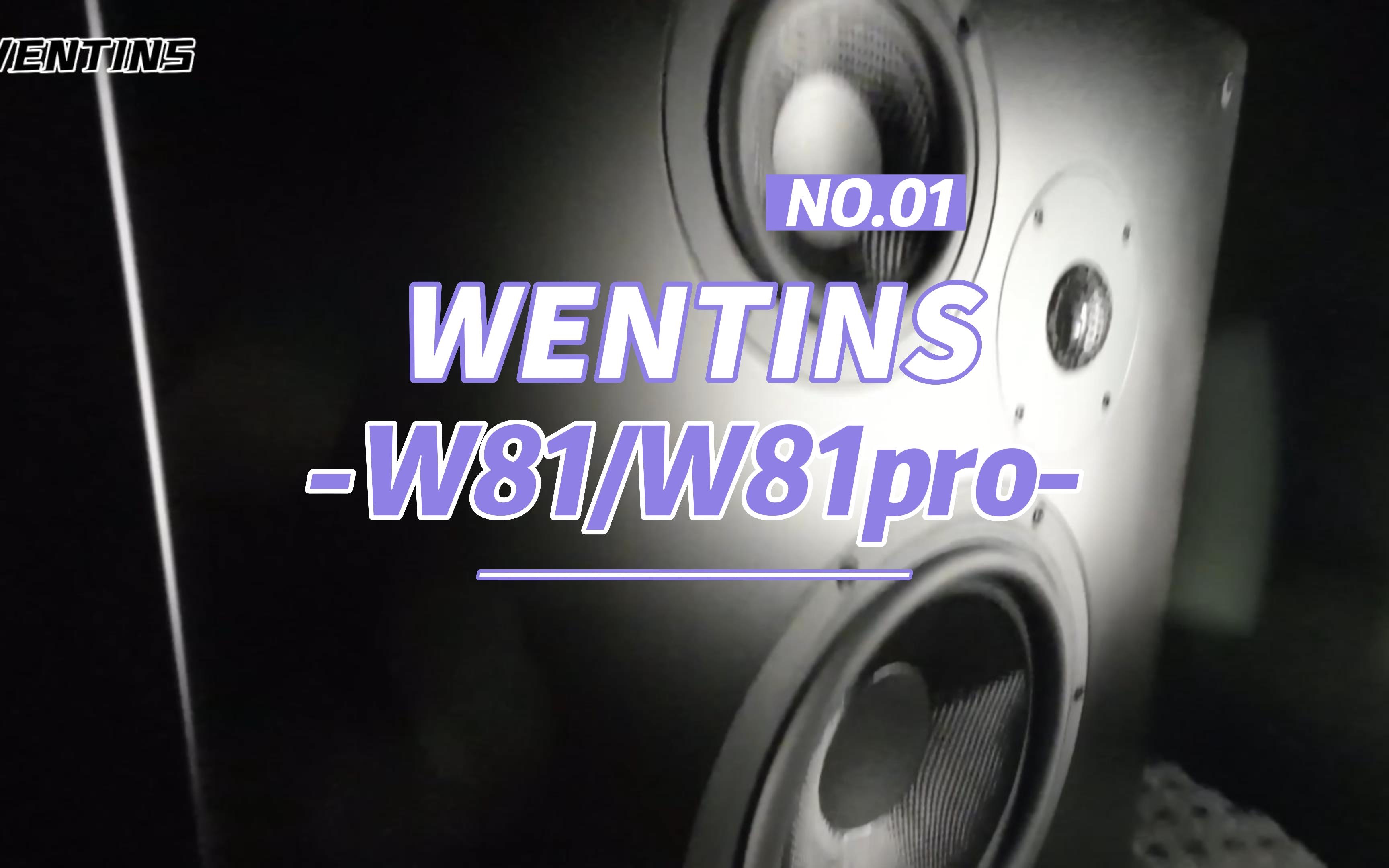 WENTINS W81激情出击！-WENTINS_音响-WENTINS_音响-哔哩哔哩视频