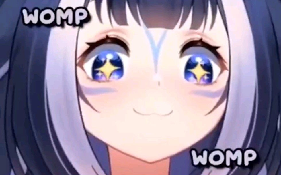 【Shylily】Womp的万能用法_哔哩哔哩_bilibili