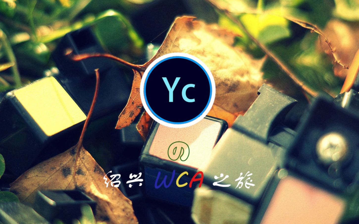 【YCのVlog】绍兴WCA公开赛之旅 比赛+观光_哔哩哔哩_bilibili