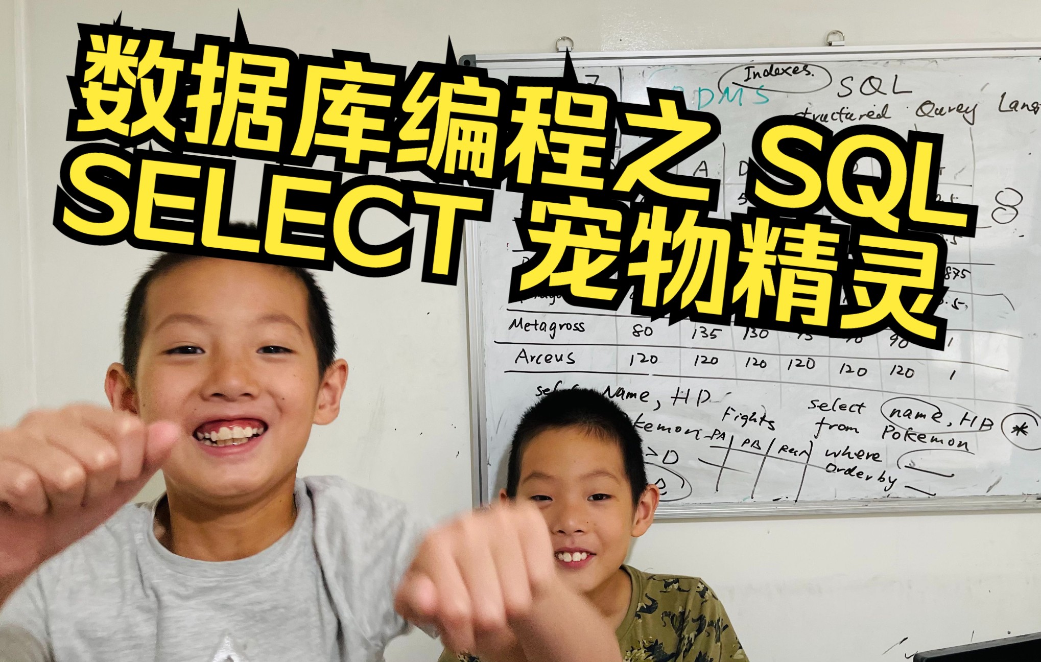 第517天 教娃编程 - SQL简介之 SELECT 语句_哔哩哔哩_bilibili
