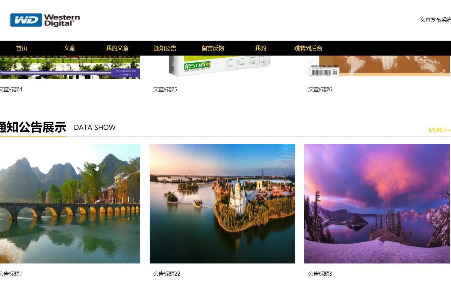 java基于SSM的文件发布系统[计算机毕业设计]_哔哩哔哩_bilibili