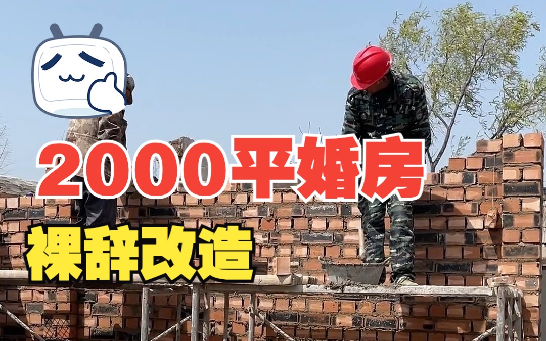 裸辞回村改造2000平婚房 97张院长 97张院长 哔哩哔哩视频