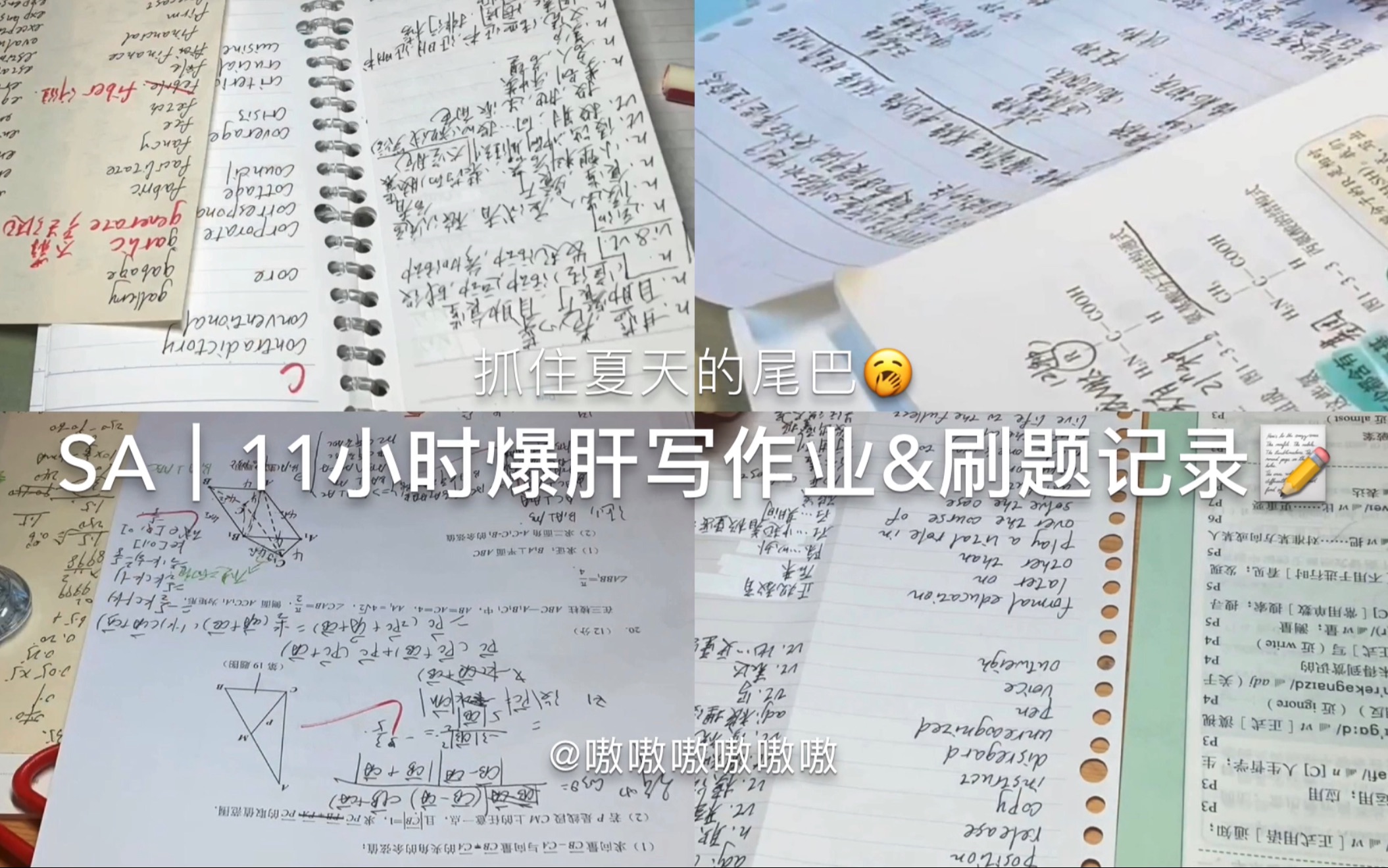 Sa｜11小时爆肝写作业and刷题记录📝｜抓住夏天的尾巴🥱 Godbop Godbop 哔哩哔哩视频 