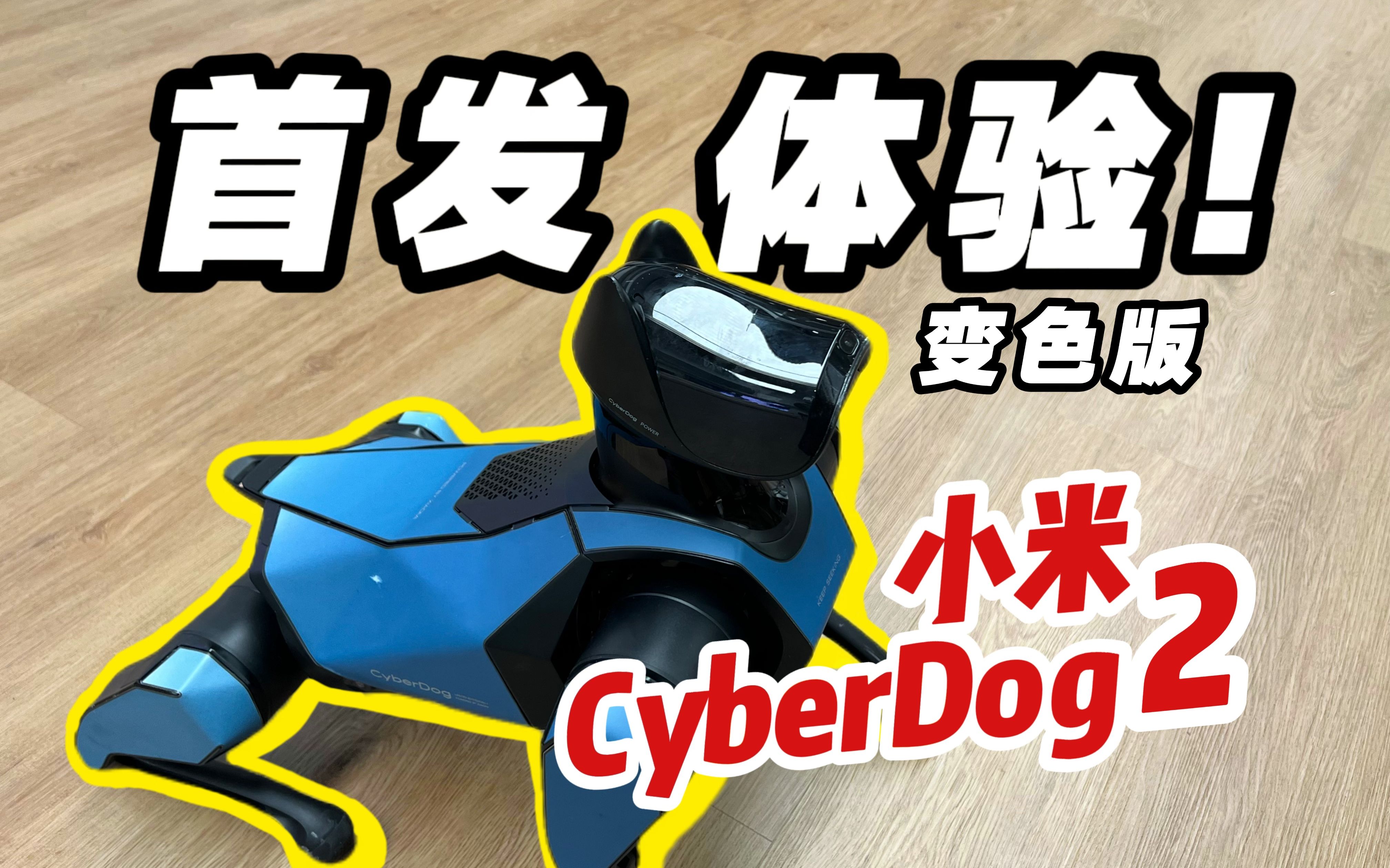 太狗了，还会变色！小米CyberDog2首发体验-飓多多StormCrew-飓多多StormCrew-哔哩哔哩视频