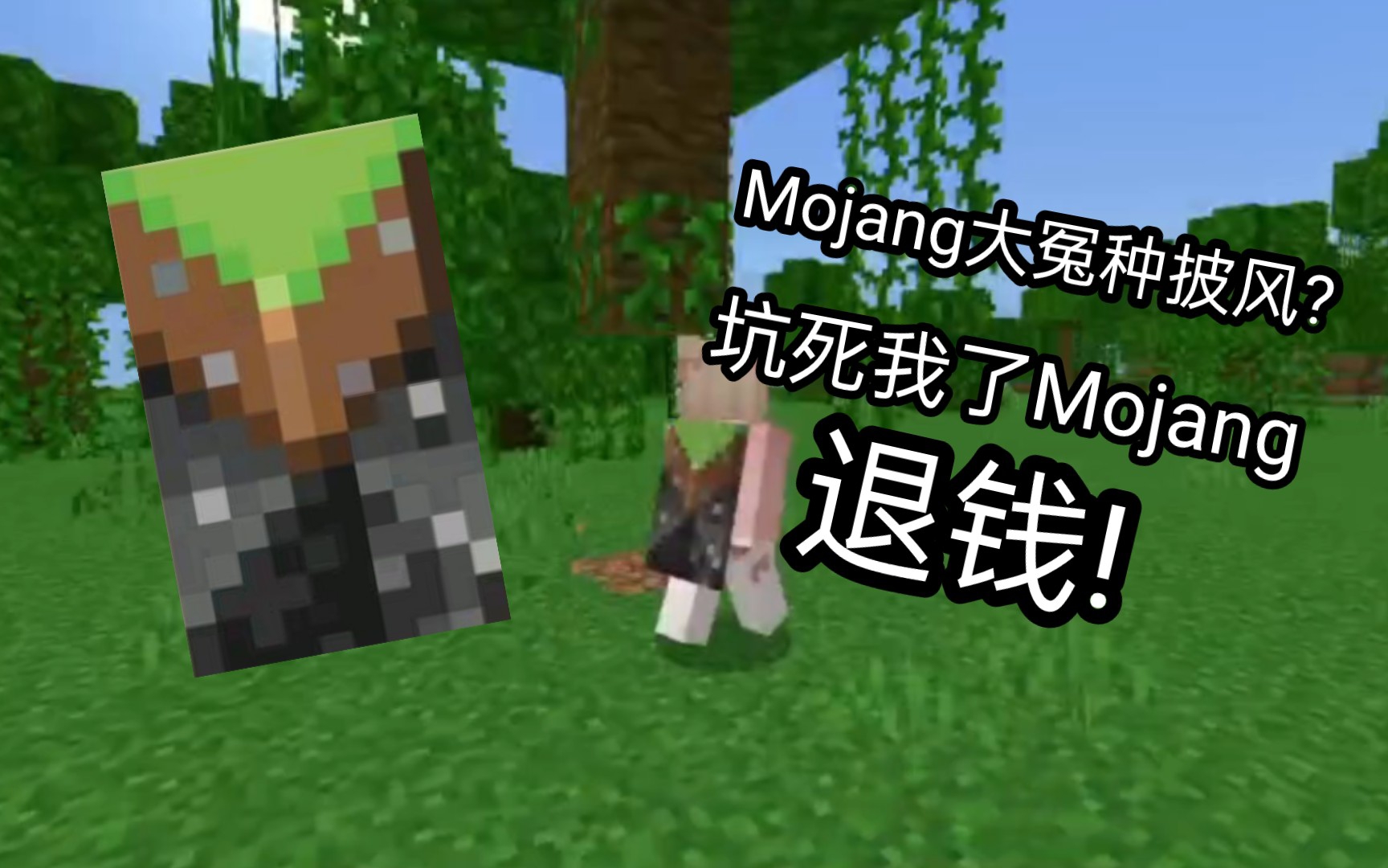 当你收到了mojang送给你的大冤种披风? 哔哩哔哩 Bilibili