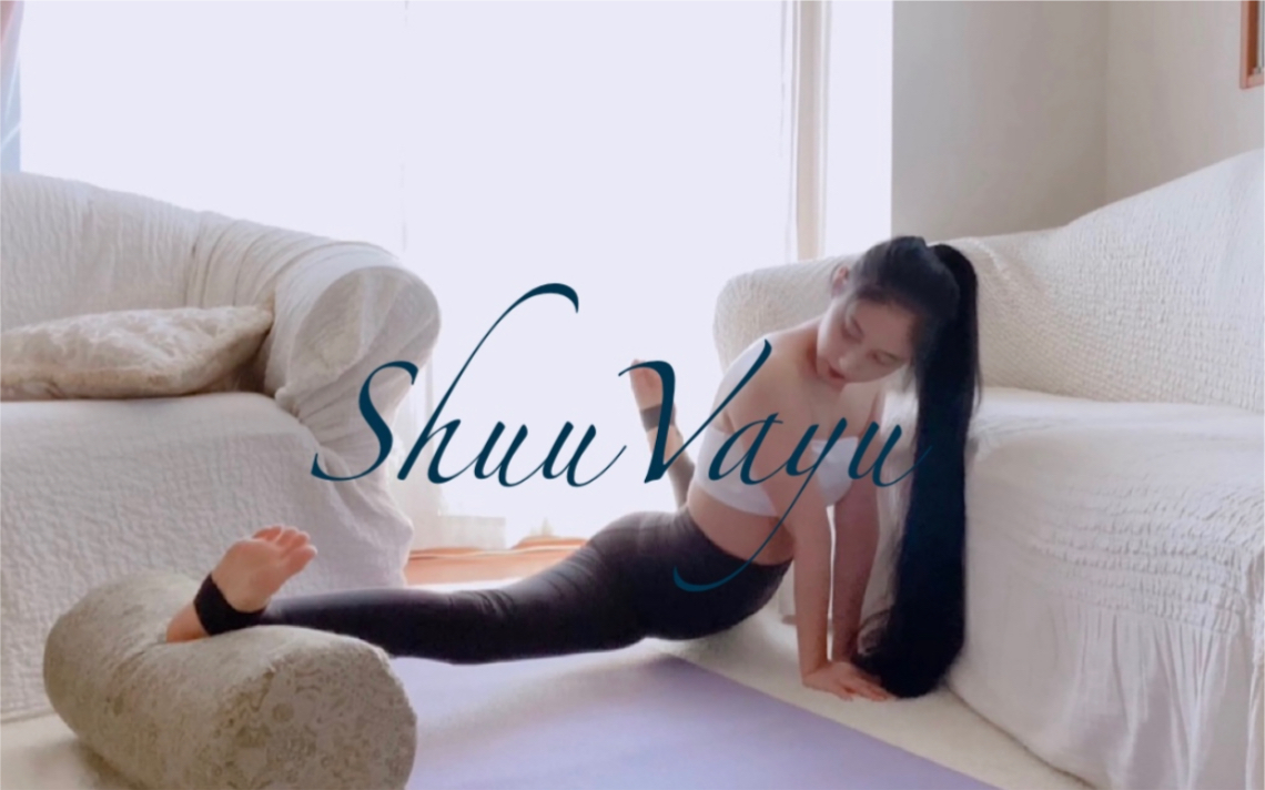 shuu-shuuvayu-shuuvayu-哔哩哔哩视频