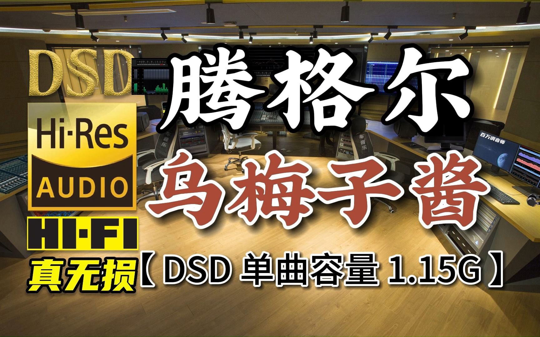 没有腾格尔不敢下手的！翻唱《乌梅子酱》DSD完整版，容量1.15G，百万调音师专业制作，顶级无损HIFI音乐-车音乐_百万调音师-车音乐_百万调音师-哔哩哔哩视频