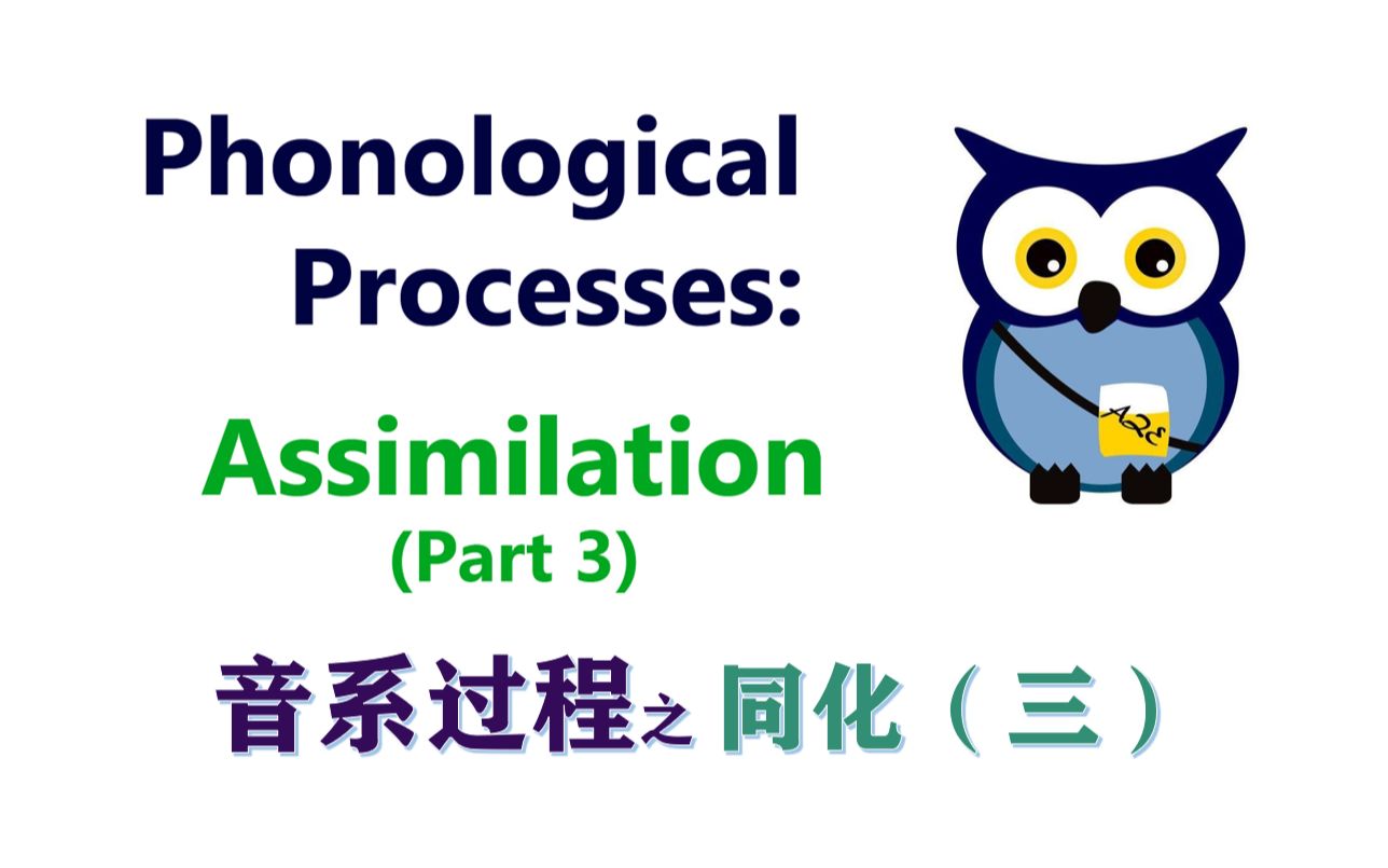 【语言学】同化（三）| Phonological Processes: Assimilation (Part 3)_哔哩哔哩_bilibili