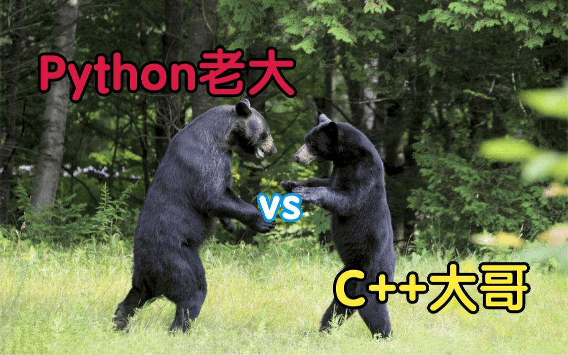 【零基础入门学Python】当Python老大vsC++大哥时，最终谁会赢呢？_哔哩哔哩_bilibili