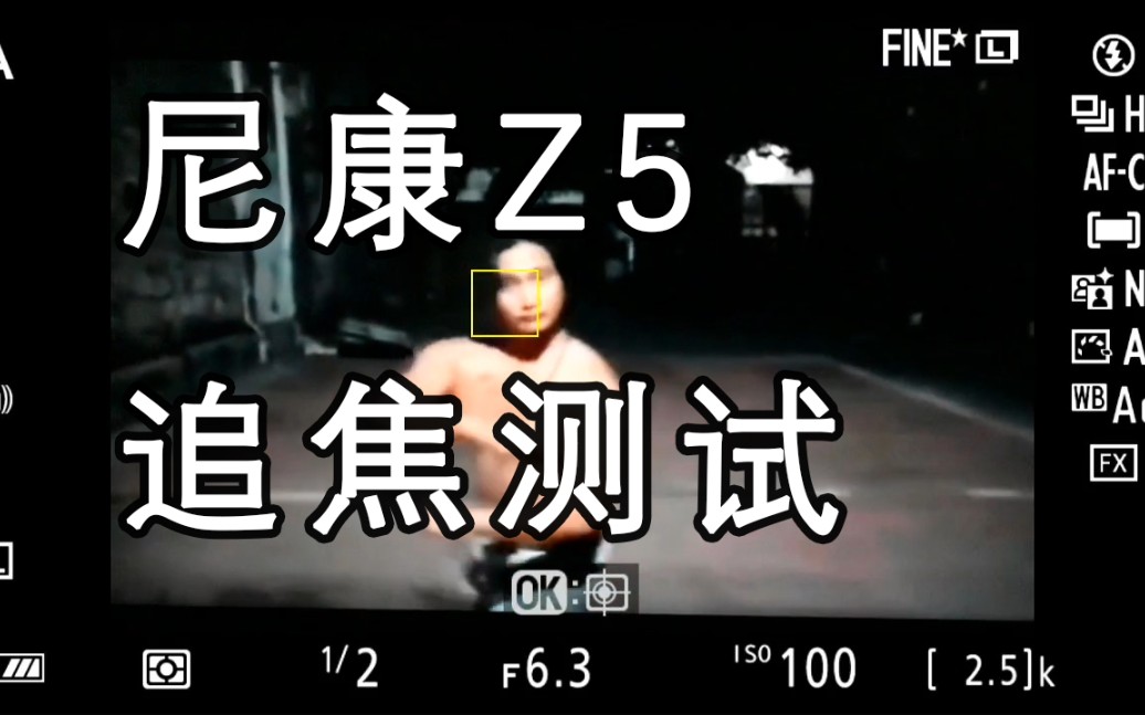 尼康z5追焦测试_哔哩哔哩_bilibili