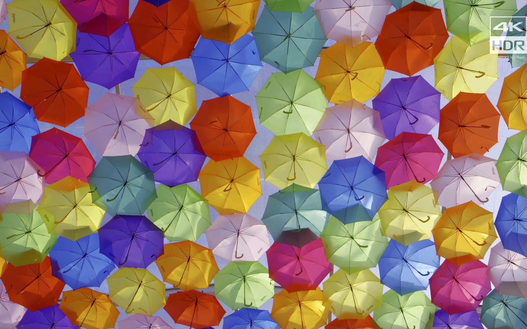 sony xzp 自带4k演示视频_哔哩哔哩_bilibili