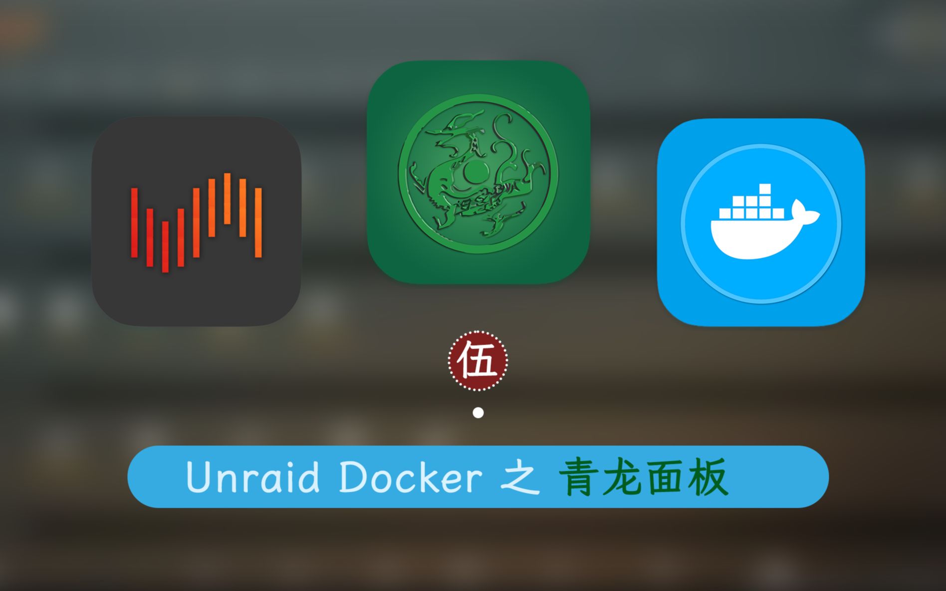 挂脚本神器 青龙面板 安装 —— 群晖 Unraid Docker 5_哔哩哔哩_bilibili