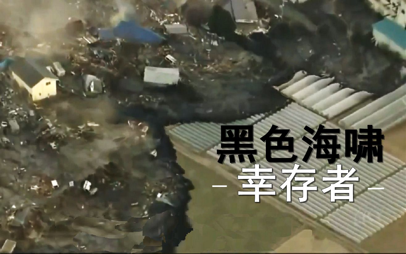 【纪录片】 日本黑色海啸 - 幸存者（中英文字幕）NHK , NOVA_哔哩哔哩_bilibili