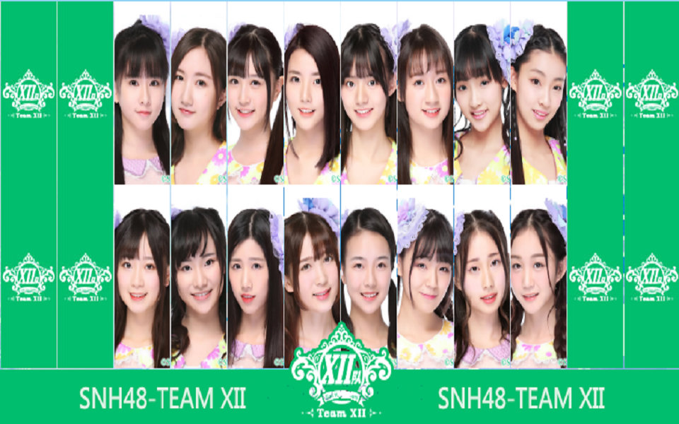 SNH48 Team XII 第三届总选举拉票会合辑_哔哩哔哩_bilibili