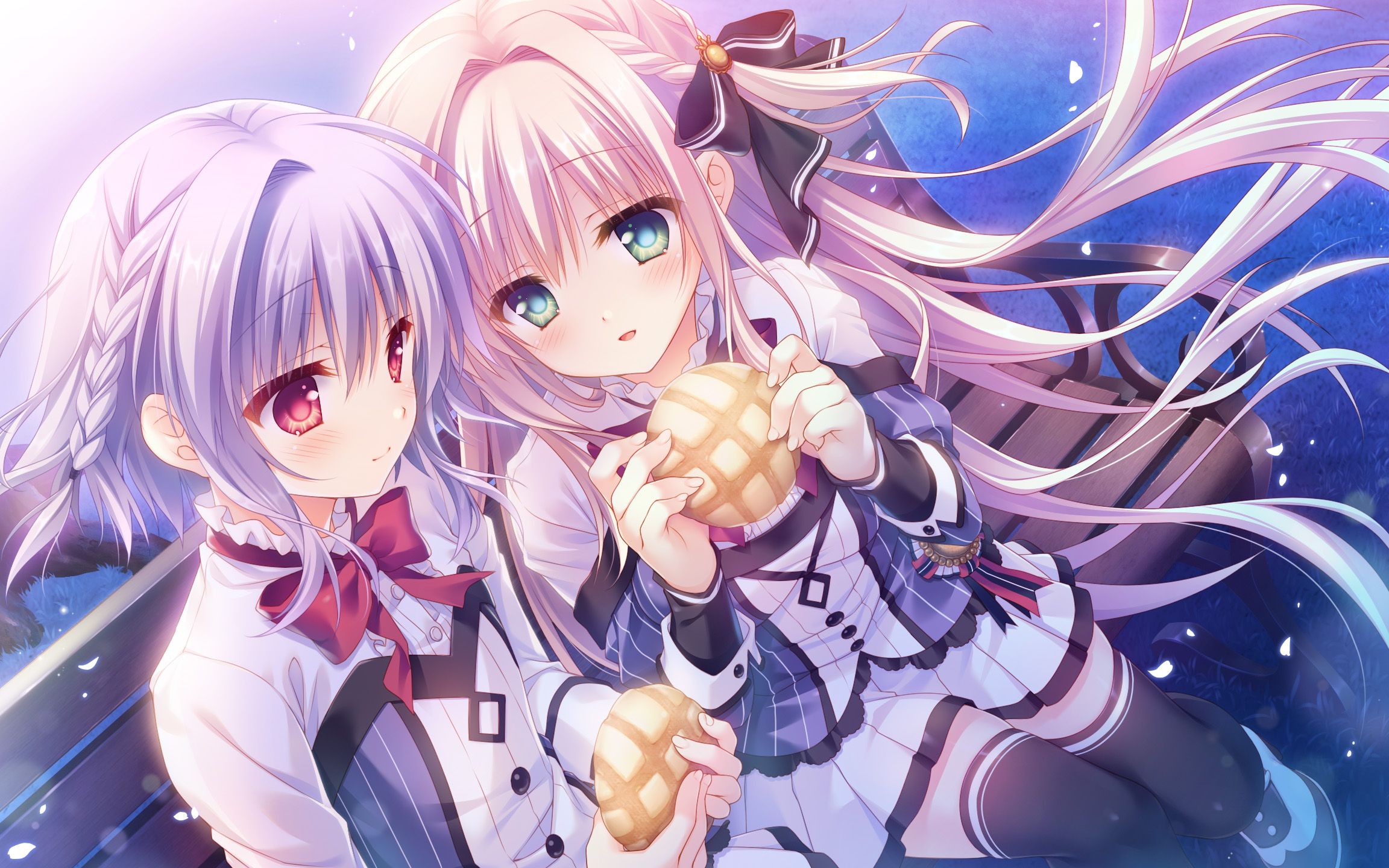 【Galgame】少女领域 OP【4K/60fps】_哔哩哔哩_bilibili