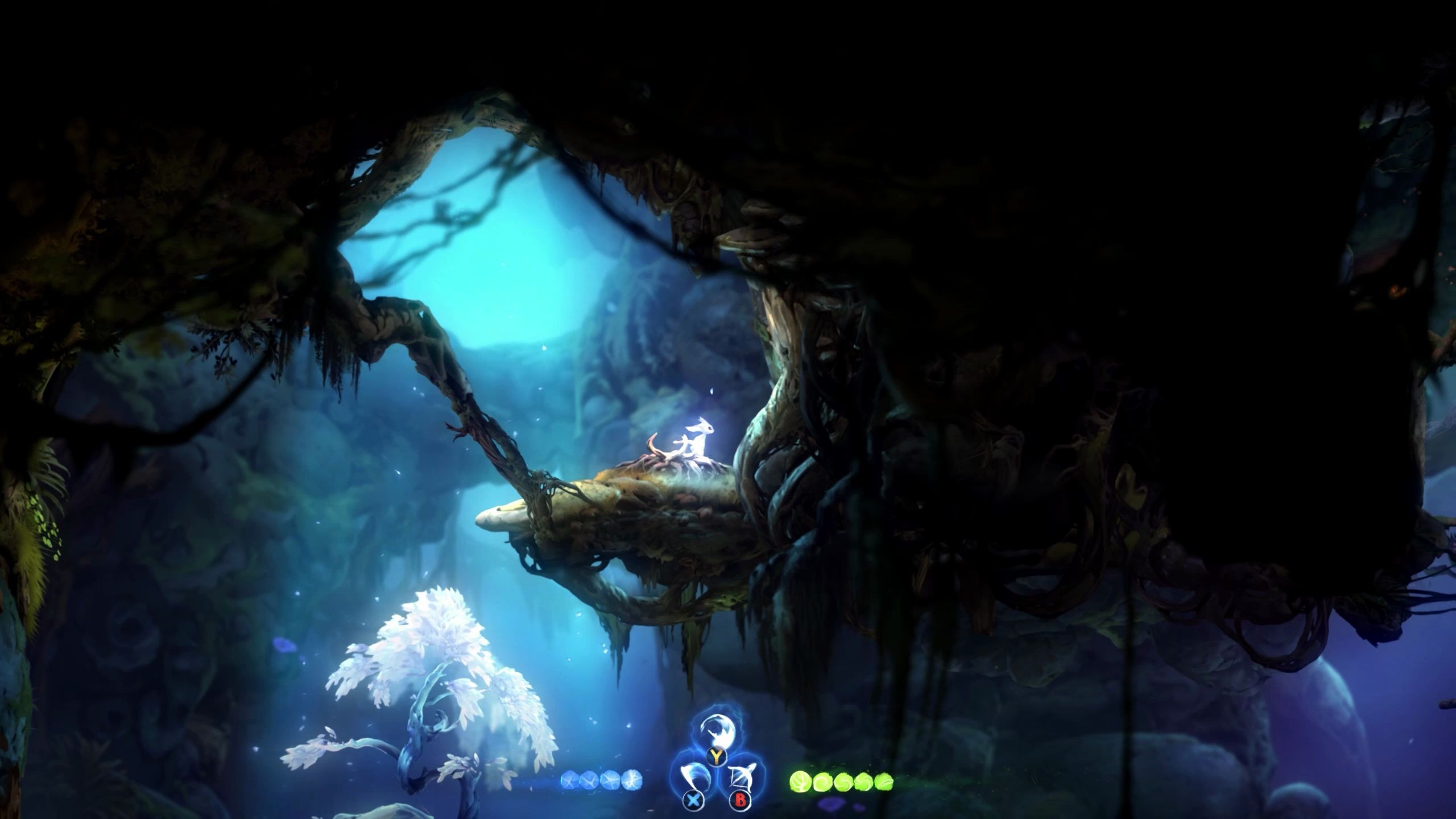 【ori2（全集）】-奥日与精灵意志2-拿到吸附墙壁碎片_哔哩哔哩_bilibili