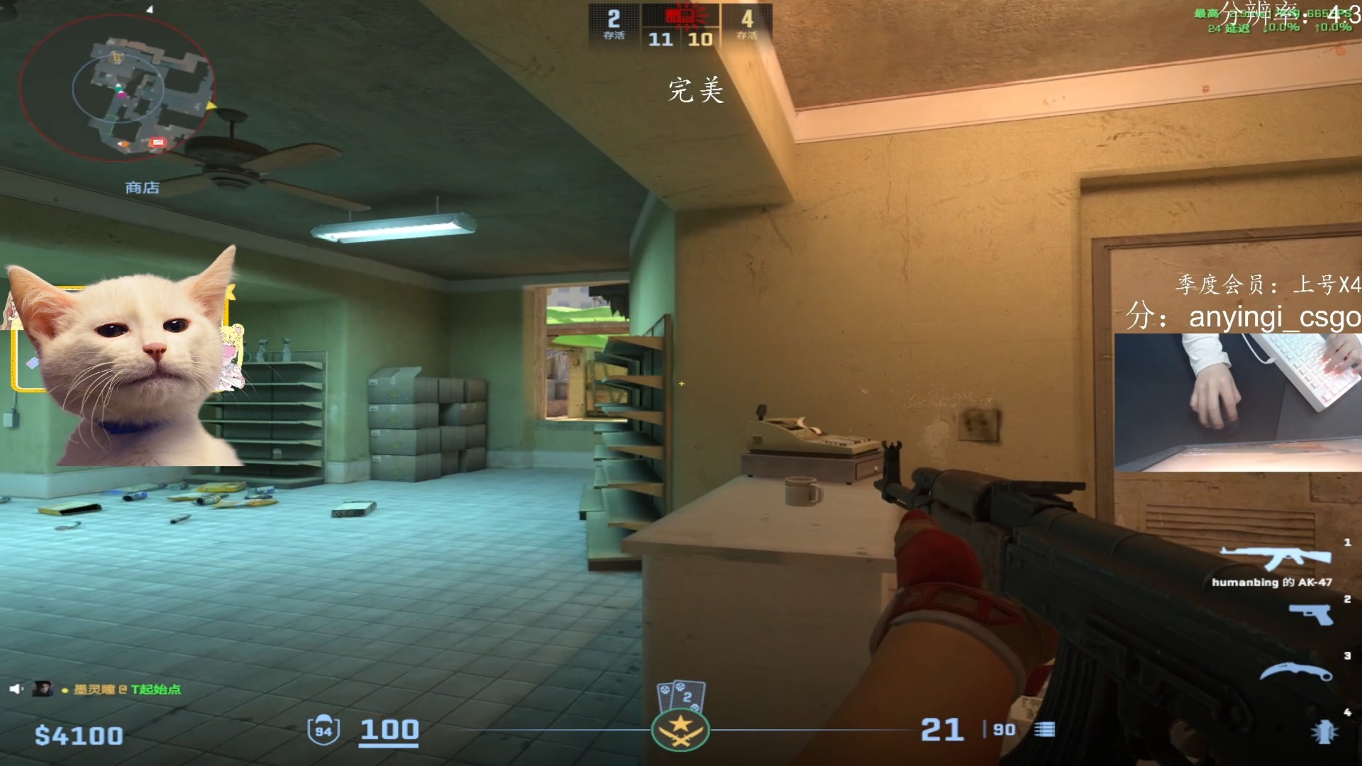 CT：这人隔烟喵人！-Anyingi_Csgo-Anyingi_Csgo-哔哩哔哩视频