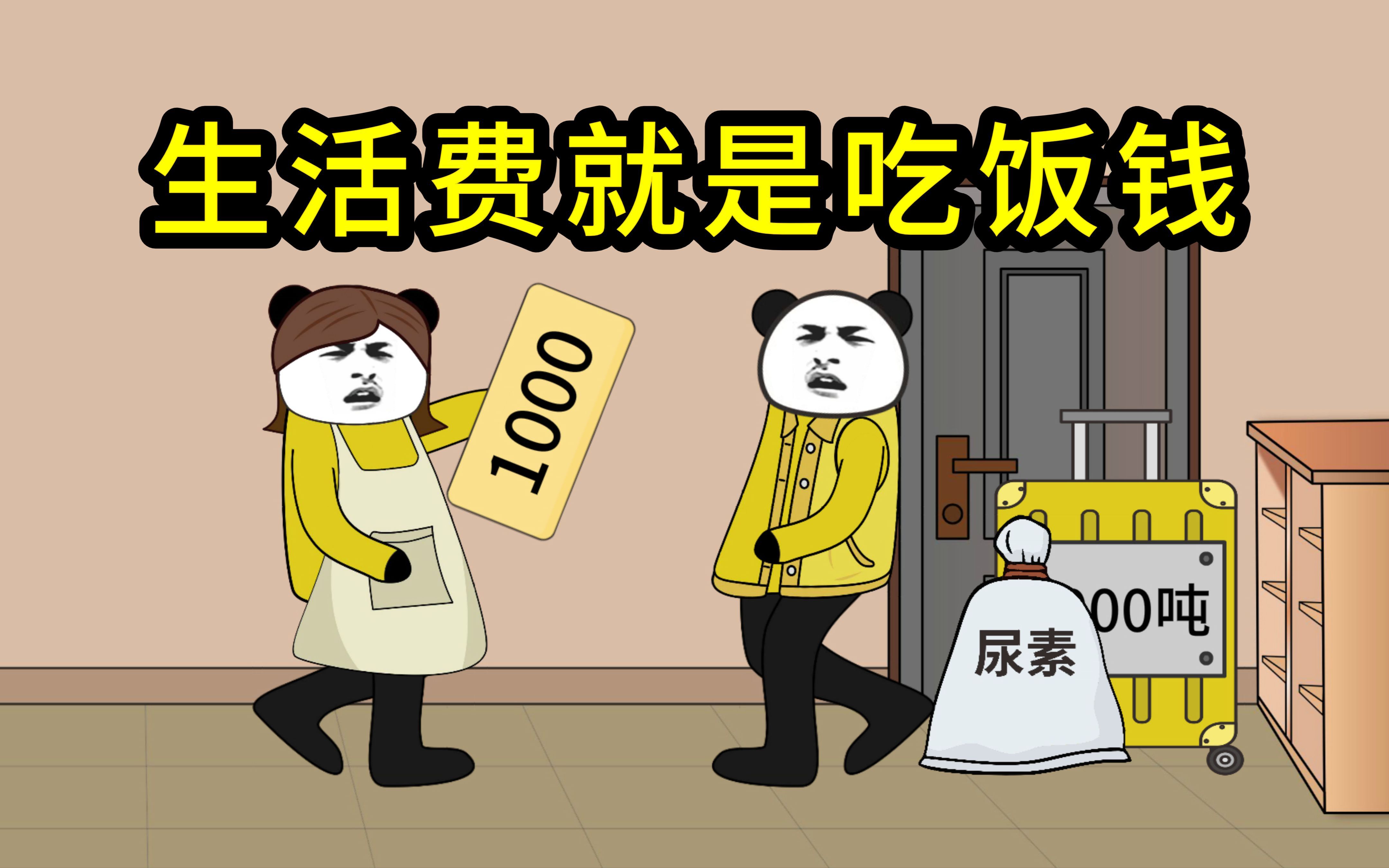 父母理解的生活费vs大学生理解的生活费 鸡蛋冰雹q 鸡蛋冰雹q 哔哩哔哩视频